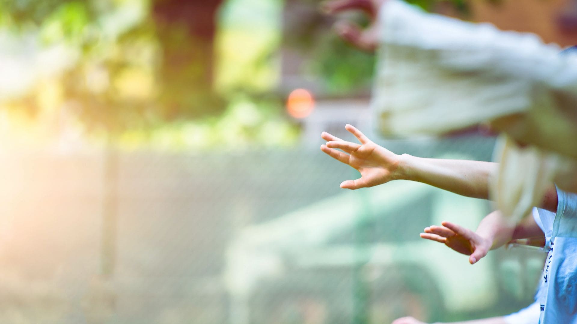 Tai Chi | Emmanuel Lutheran Church